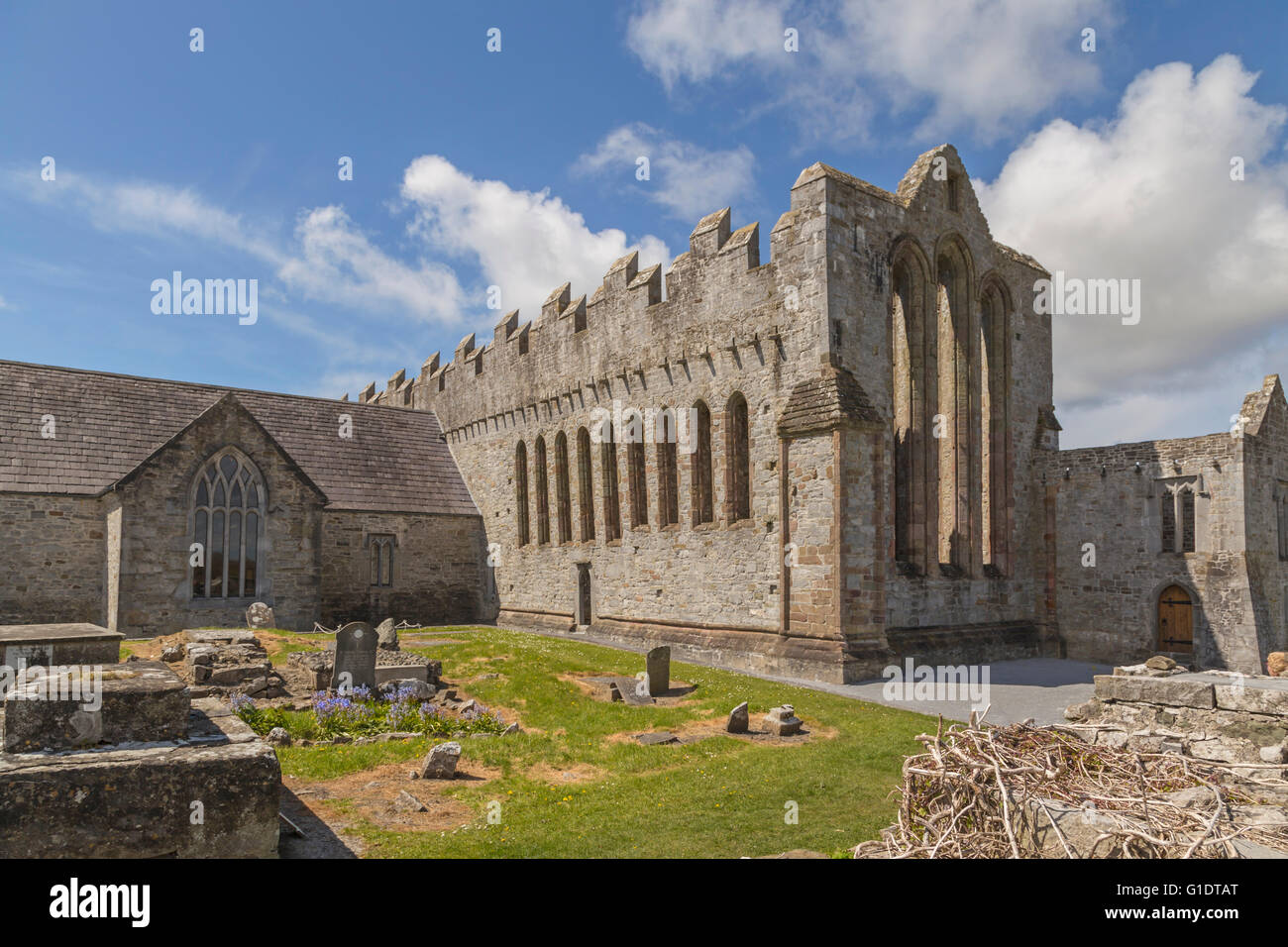 Rear view of Ardfert Cathedral, a ruined cathedral, near Tralee, County ...