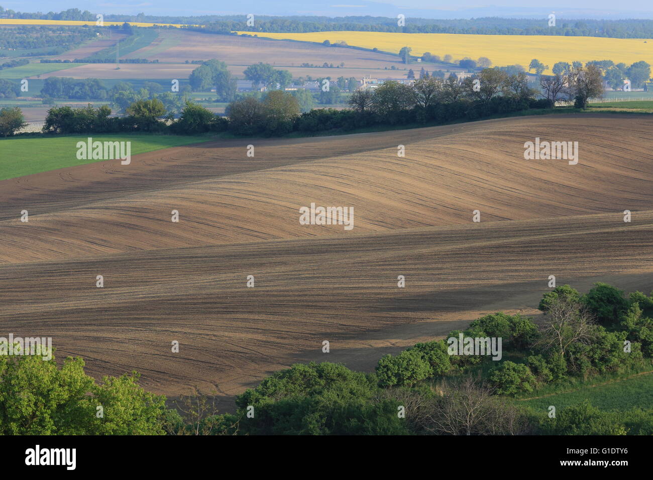 Czech agricultural landscape, South Morava Stock Photo - Alamy