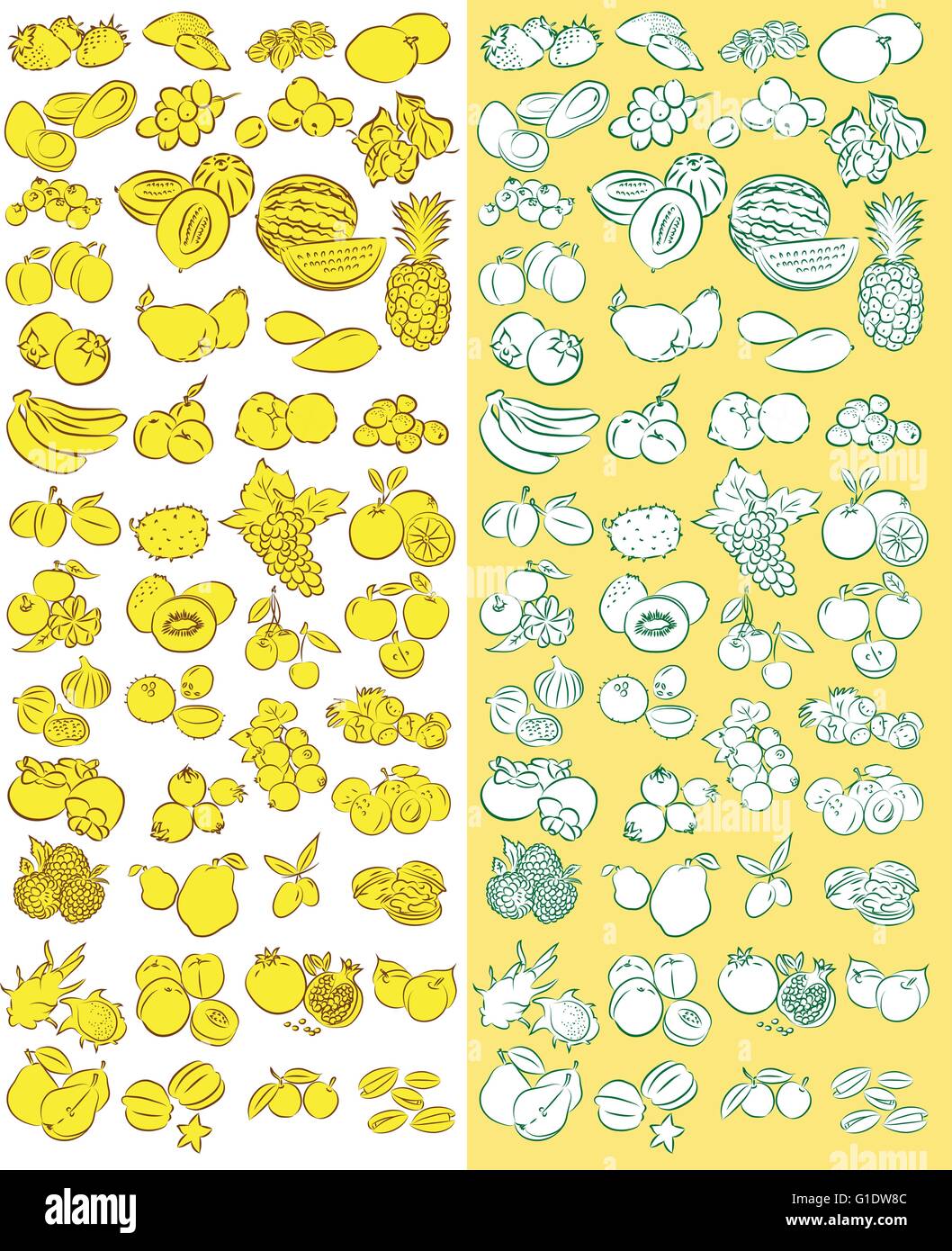 Mango orange fruits set Stock Vector Images - Alamy