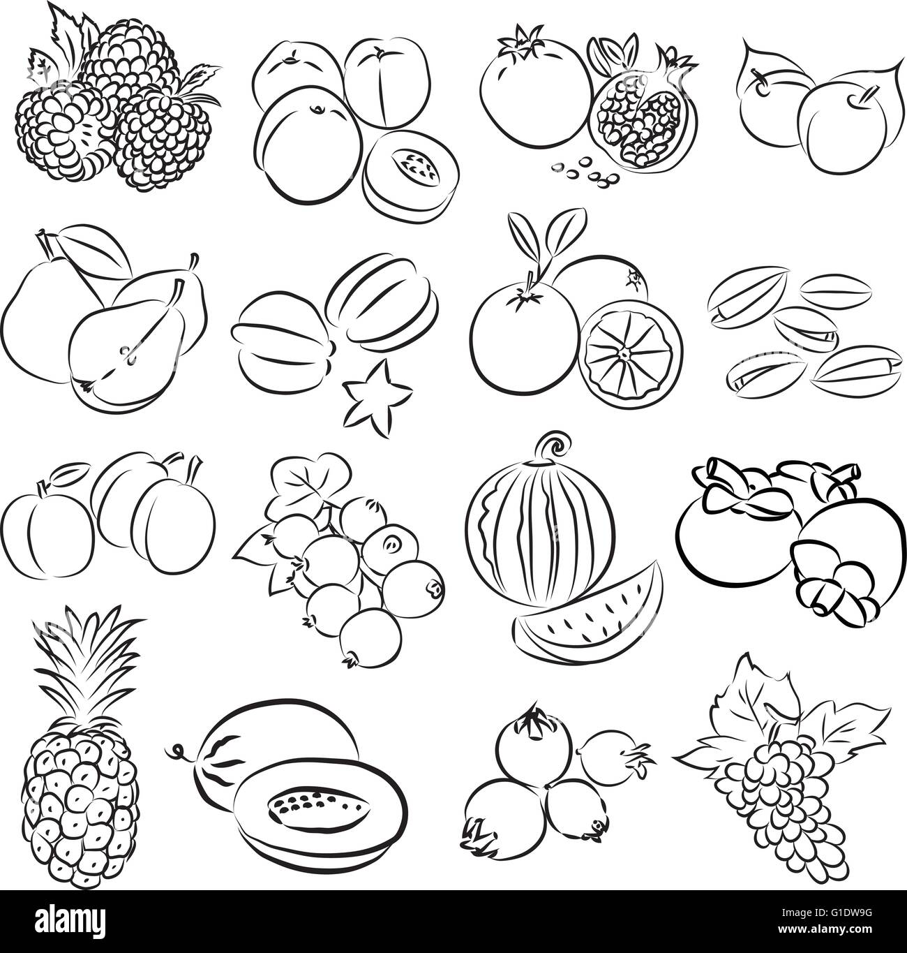 Peach in half illustration Cut Out Stock Images & Pictures - Alamy