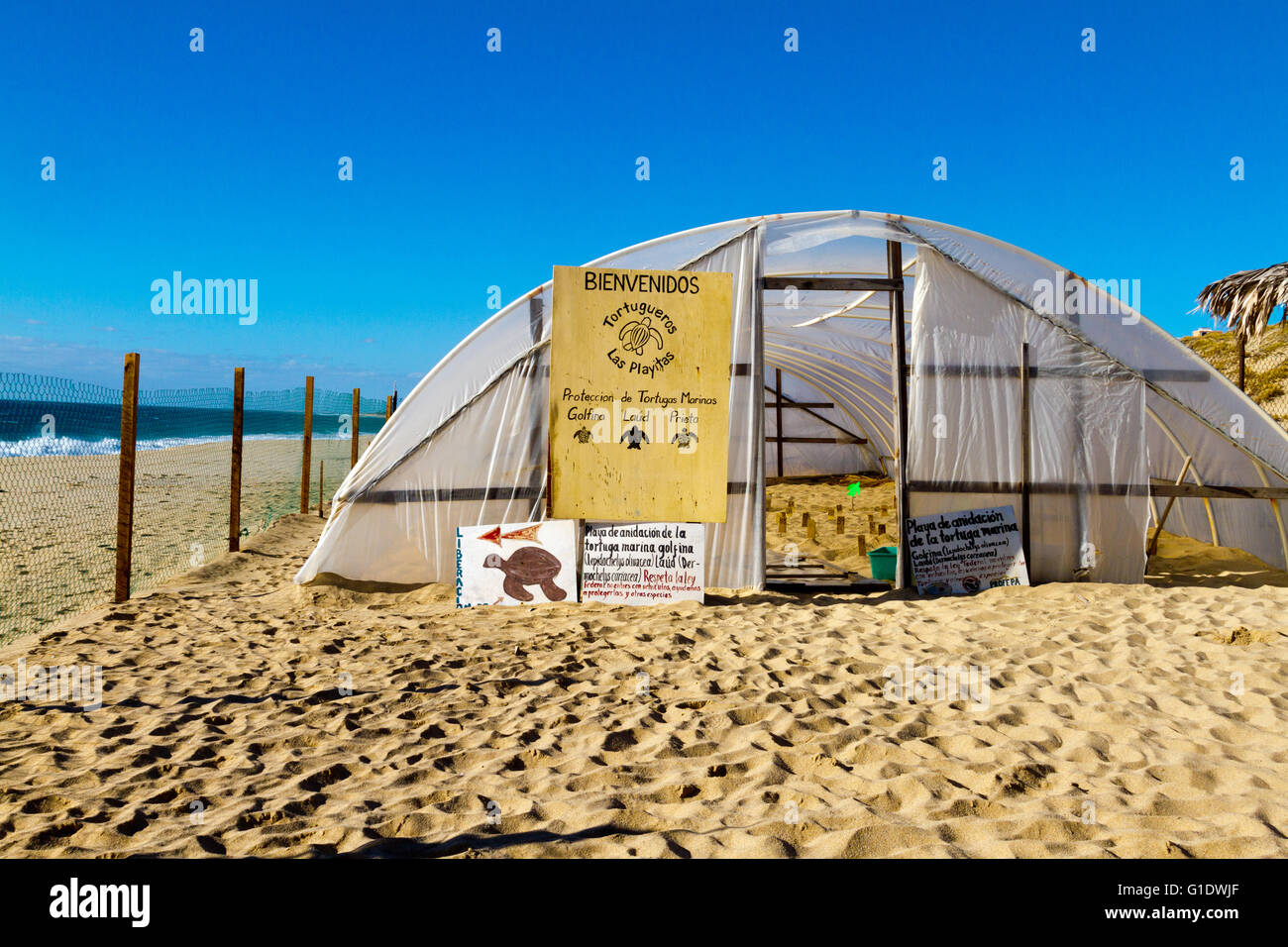 Protected enclosure on beach to help save sea turtles near Todos Santos ...