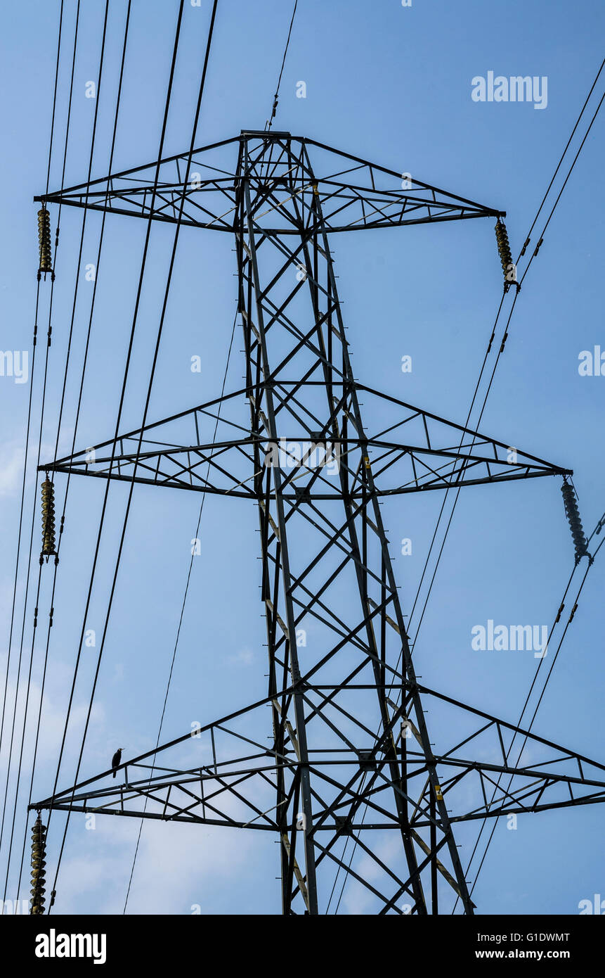 An lectricity pylon carrying overhead power cables Stock Photo - Alamy