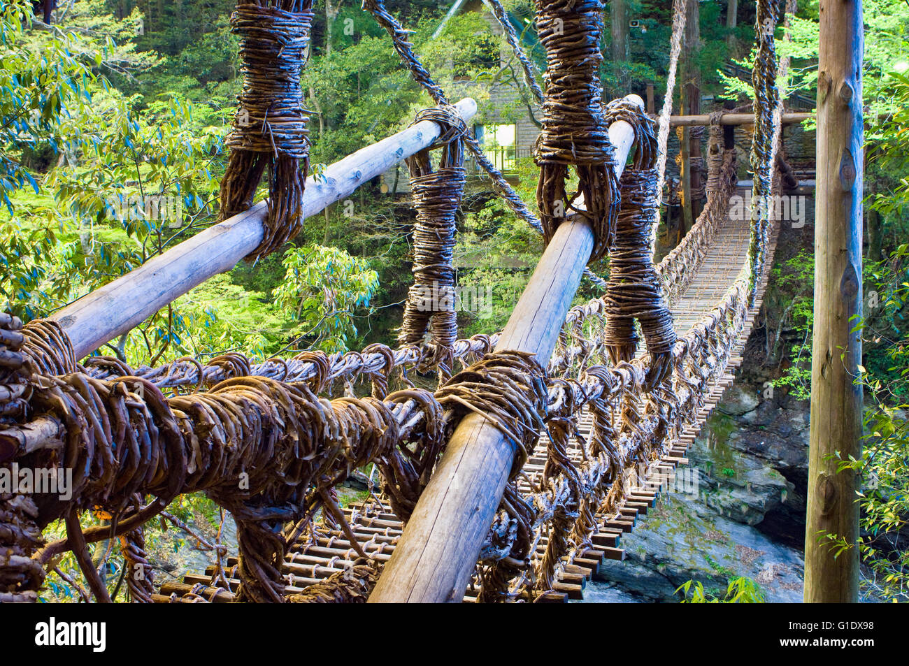 Vine bridge Kazurabashi crossing Iya Valley in Tokushima Prefecture ...