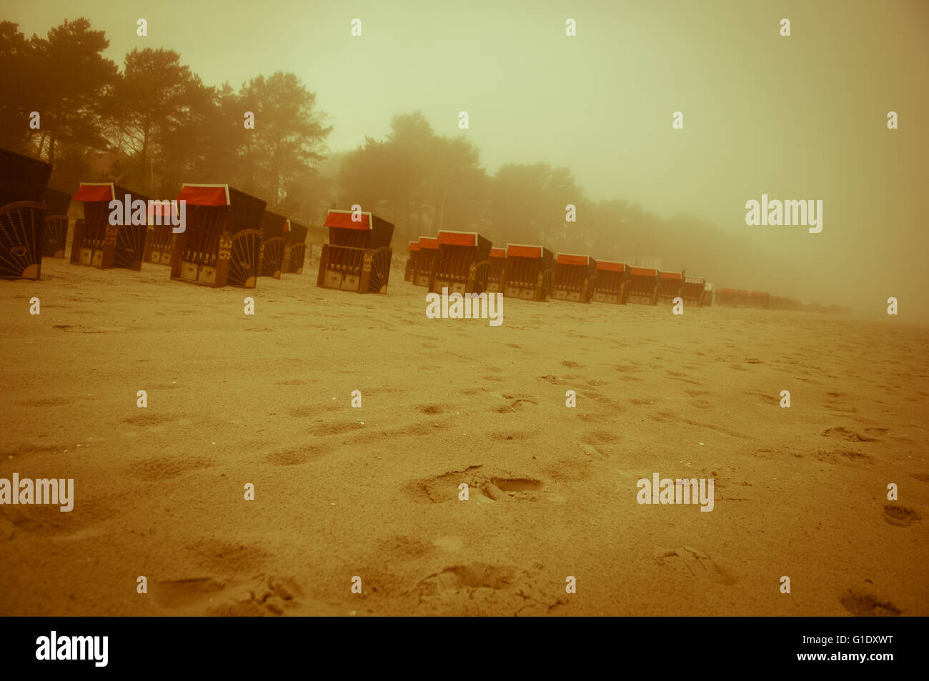 Strandkorb, Beach chairs on the sandy beach of Binz seaside resort on ...