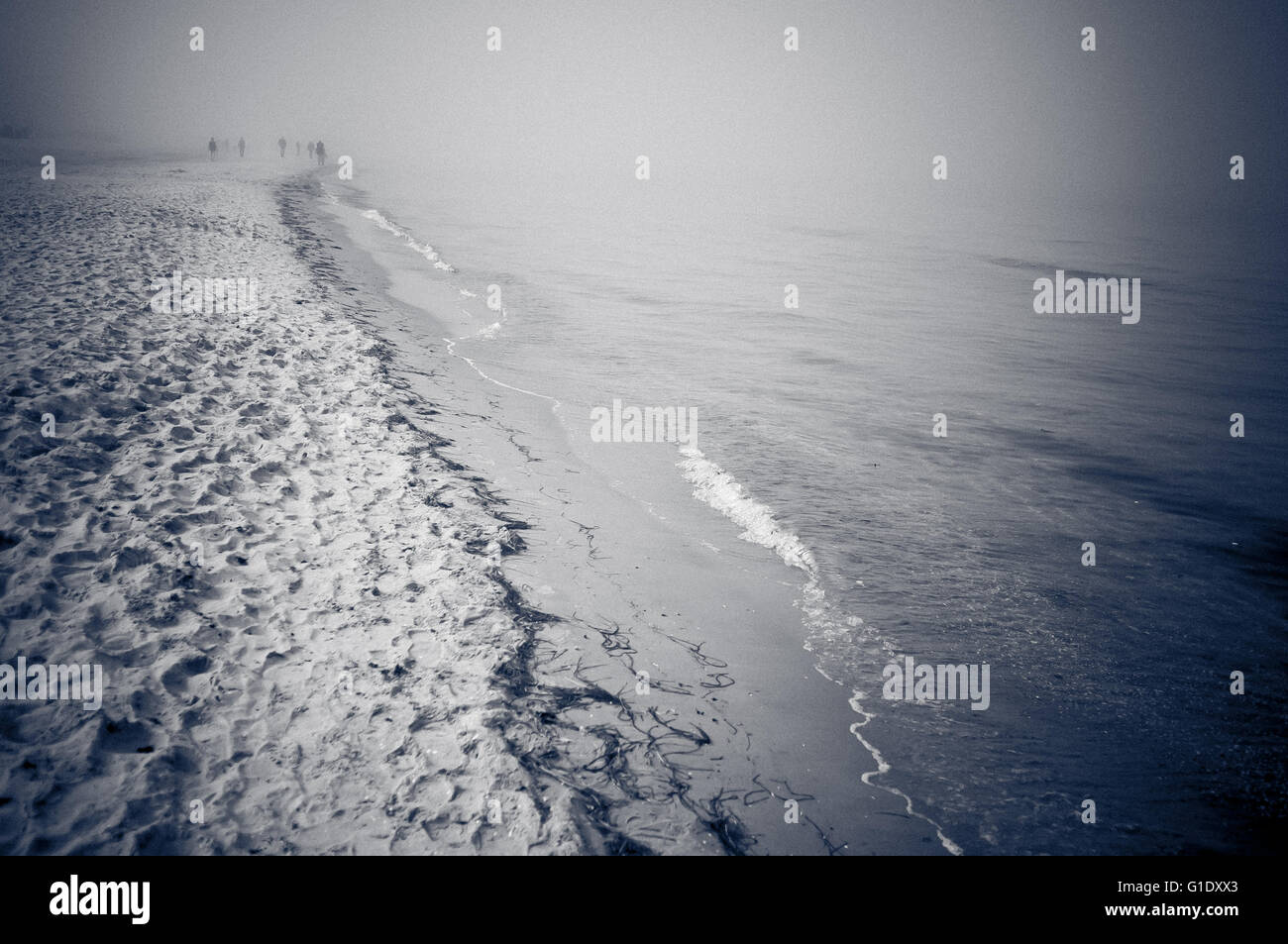 Sandy beach near Binz, Ruegen, Rugen Island, Insel, Germany ...