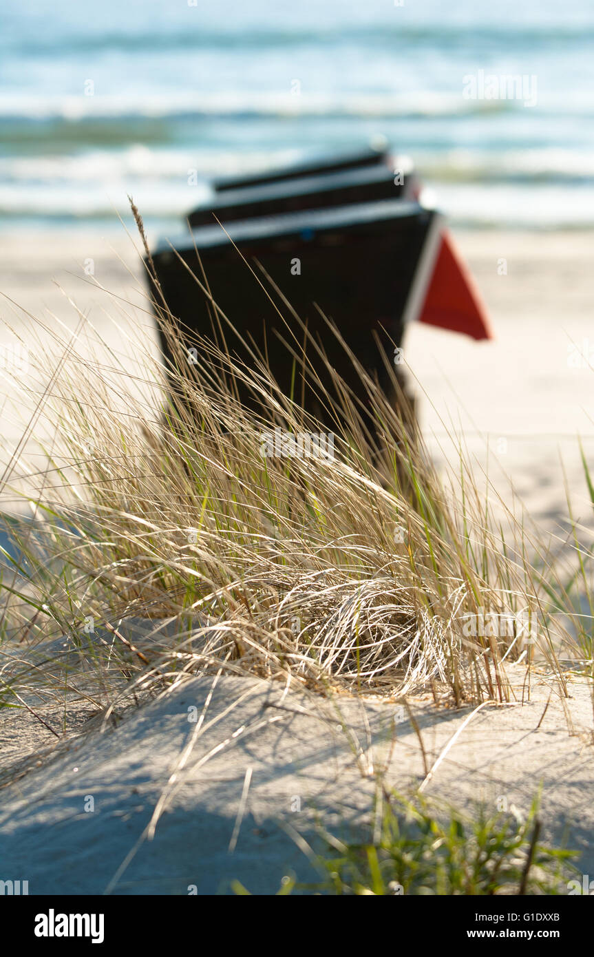 Strandkorb, Beach chairs on the sandy beach of Binz seaside resort on ...