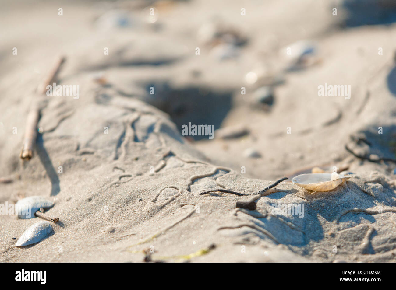 Morning star beach resort hi-res stock photography and images - Alamy