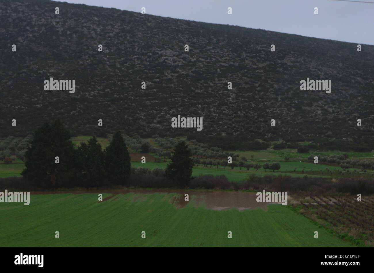 Photography of nature in the open space Stock Photo - Alamy