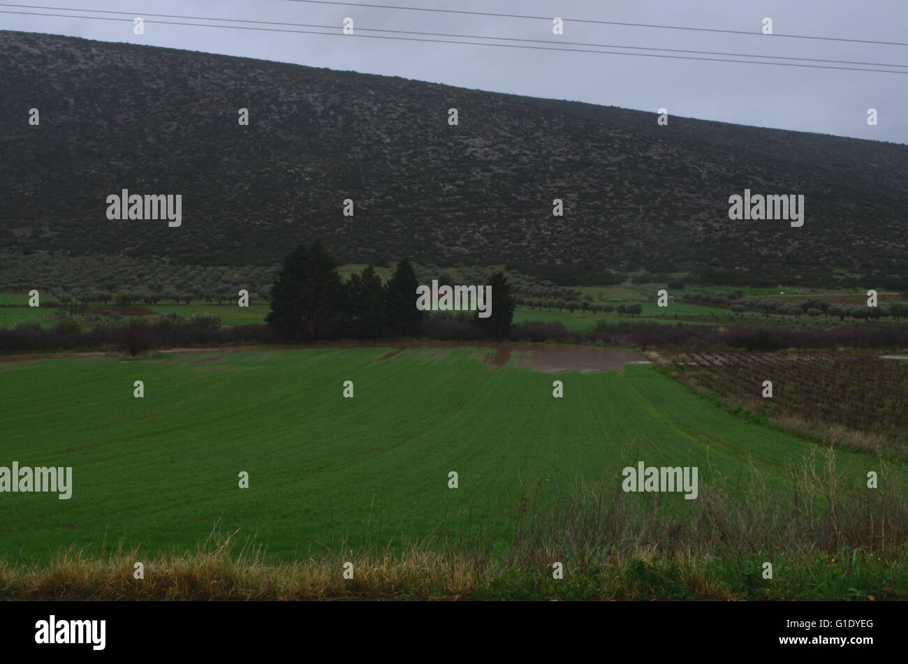 Photography of nature in the open space Stock Photo - Alamy