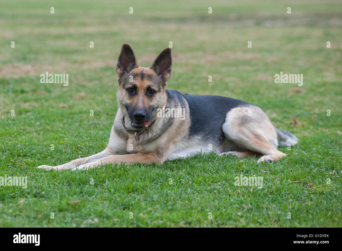 Body facing hi-res stock photography and images - Alamy