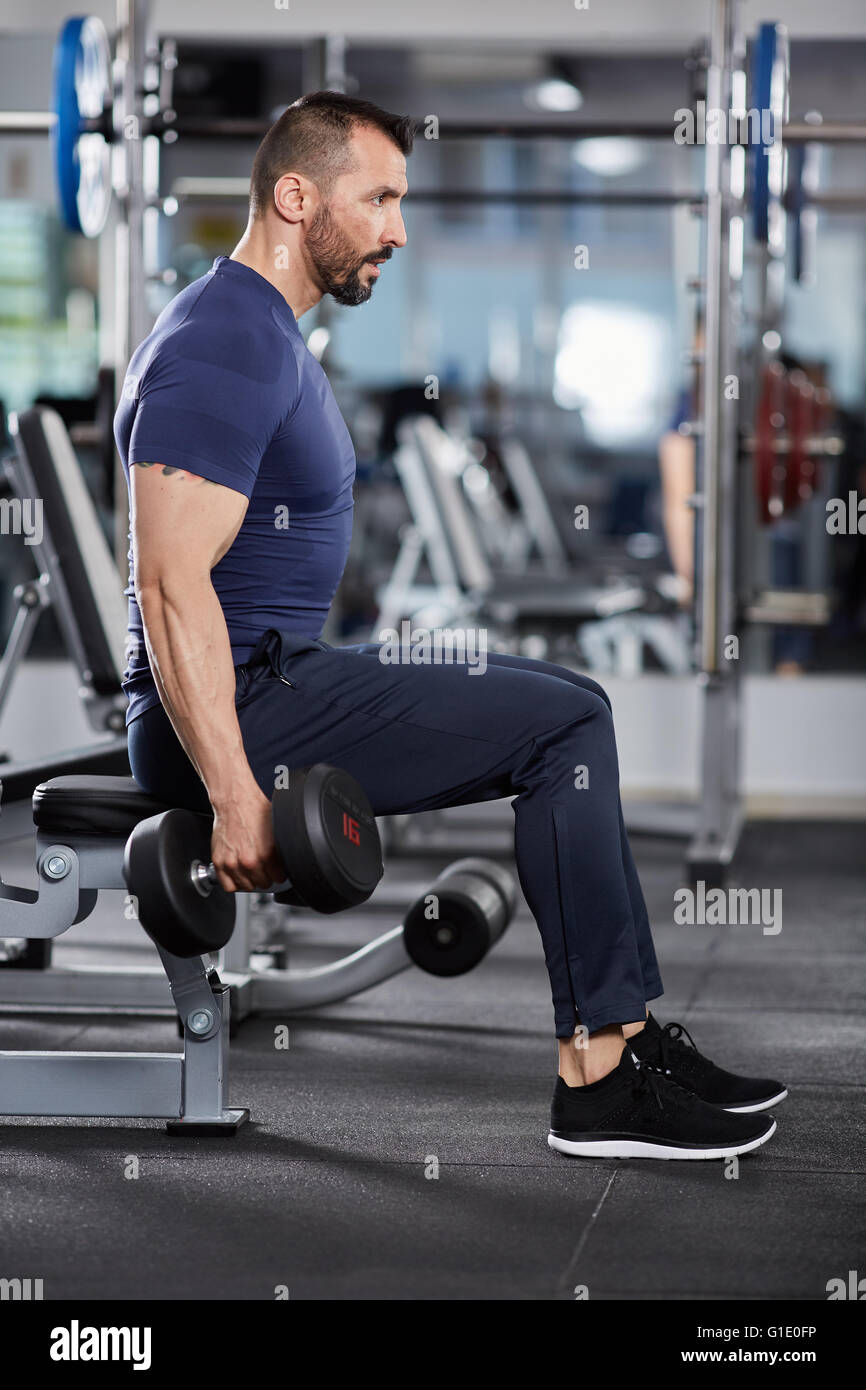 Athletic man doing biceps curl in seated position in the gym Stock ...