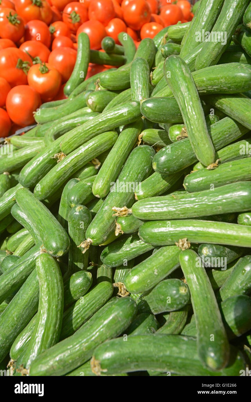 Cucumber harvest cucumber hi-res stock photography and images - Alamy
