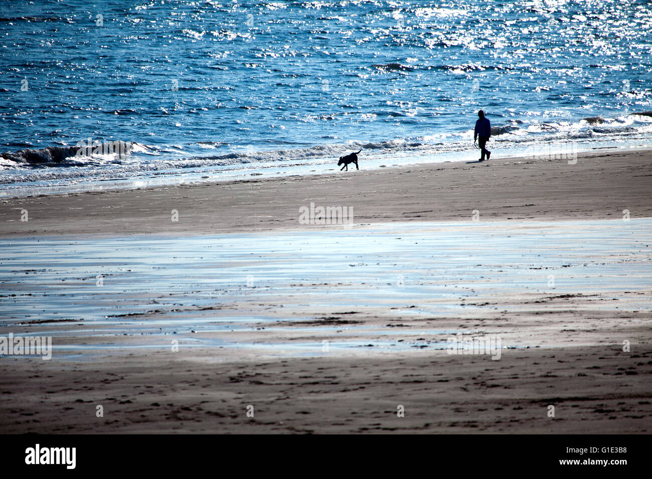 A dog walker enjoying the warm sunshine on the beach of Colwyn Bay in ...