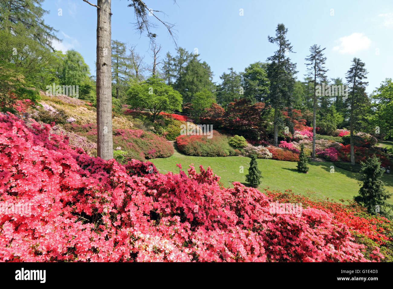 The Punch Bowl in the Valley Gardens at Virginia Water, Surrey, UK ...
