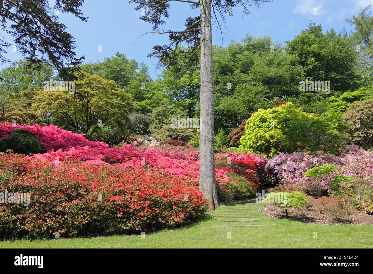 The Punch Bowl in the Valley Gardens at Virginia Water, Surrey, UK ...