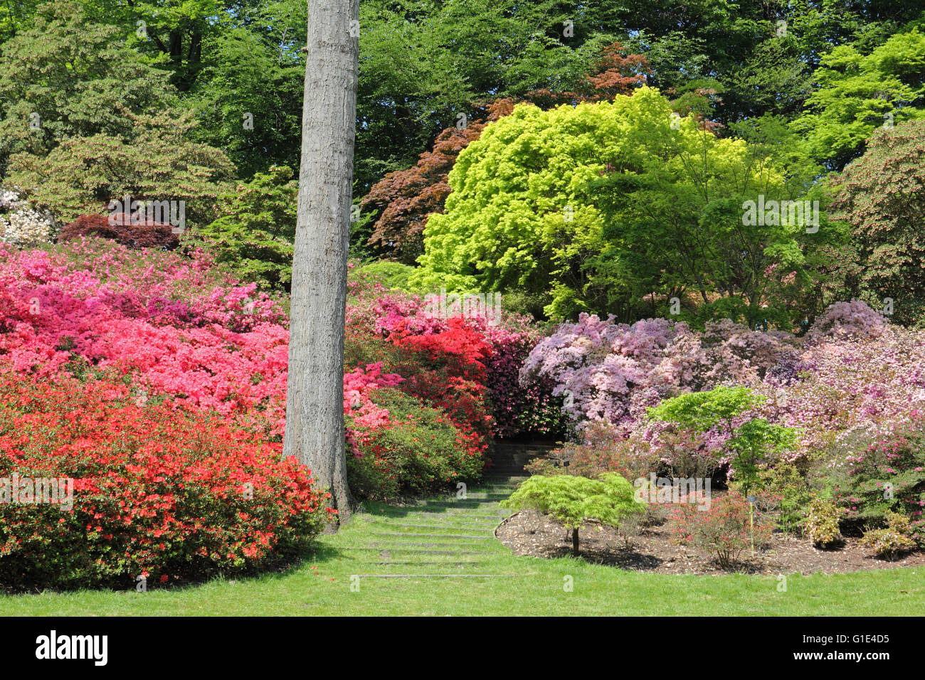 The Punch Bowl in the Valley Gardens at Virginia Water, Surrey, UK ...