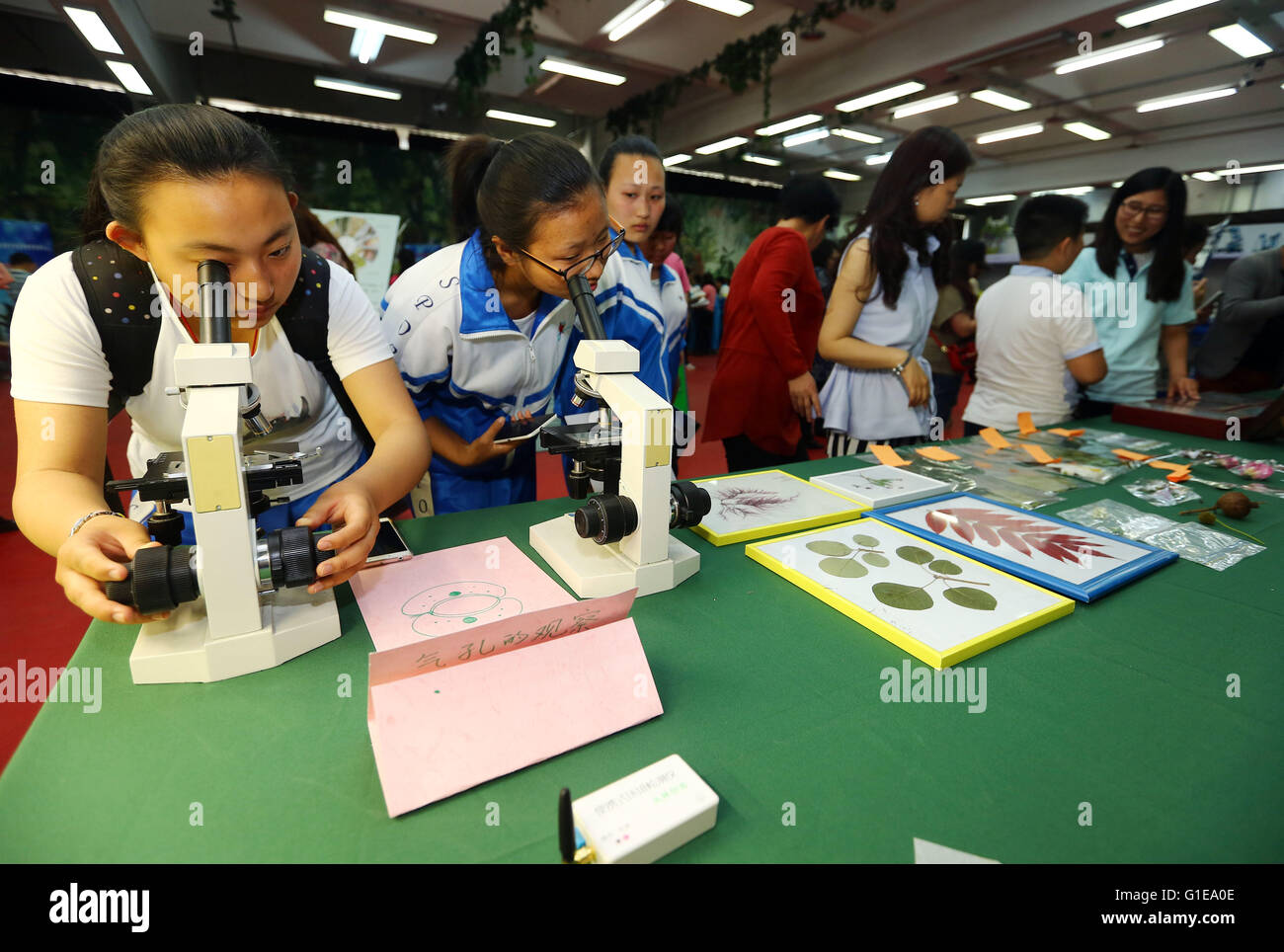 Tianjin, China. 13th May, 2016. Students use microscopes to observe ...