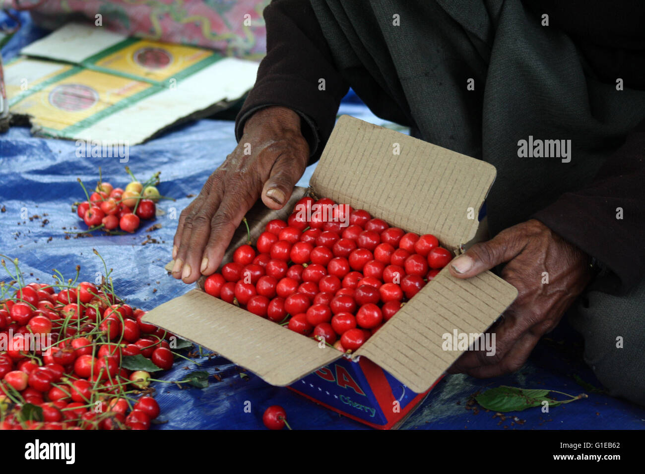 Indian cherries hi-res stock photography and images - Alamy