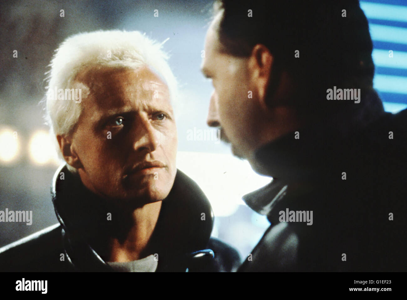 Blade Runner / Rutger Hauer / Blade Runner (Director's Cut Stock Photo ...