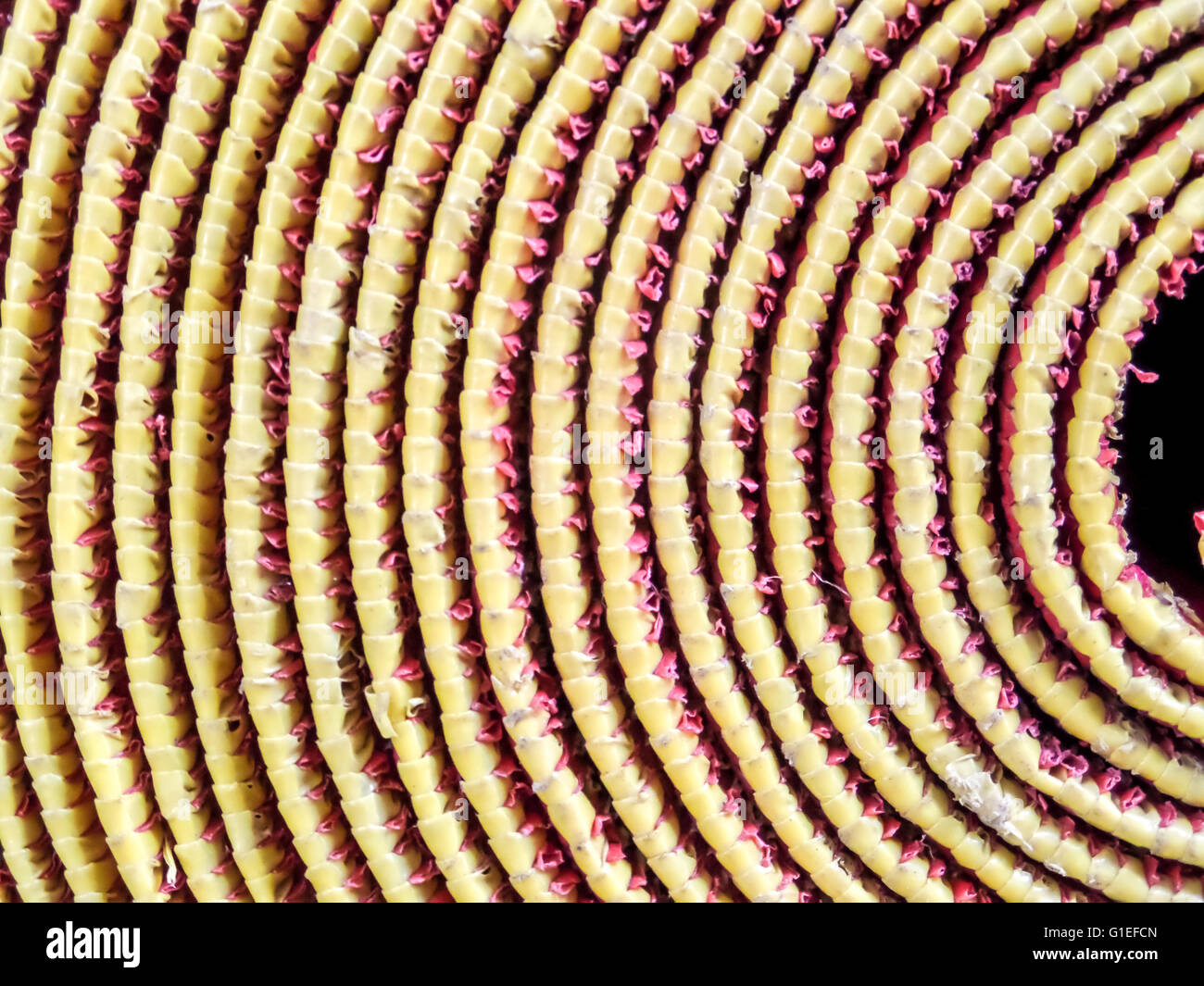 vintage of mat texture border skin surface Stock Photo - Alamy