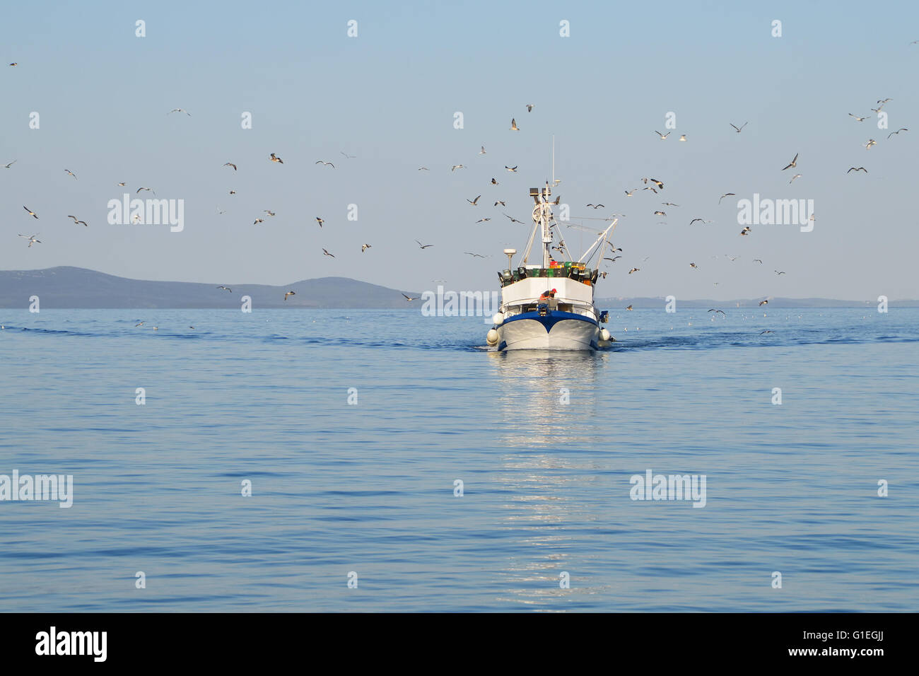 Birds flying around fishing boat hi-res stock photography and images ...