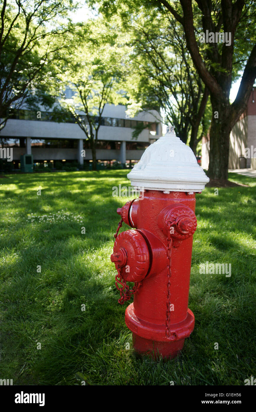 American style fire hydrant on a grassy lawn in front of buildings in ...