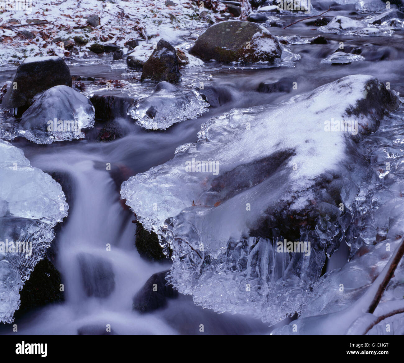 Winter scene, closeup of streamlet in winter Stock Photo - Alamy
