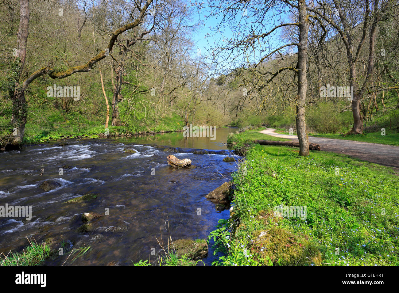River Dove in Dovedale, Peak District National Park, Derbyshire ...