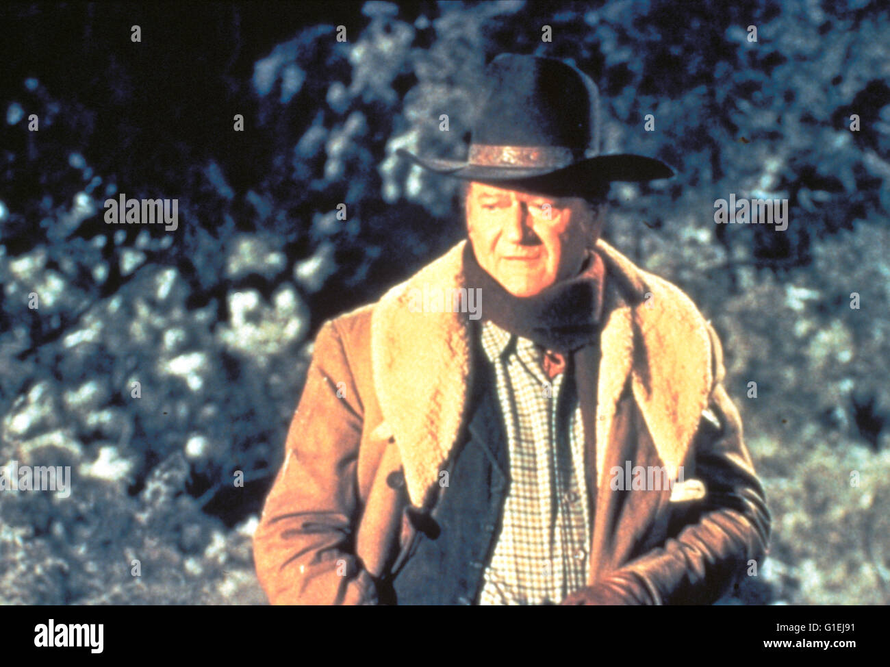 Geier kennen kein erbarmen hi-res stock photography and images - Alamy