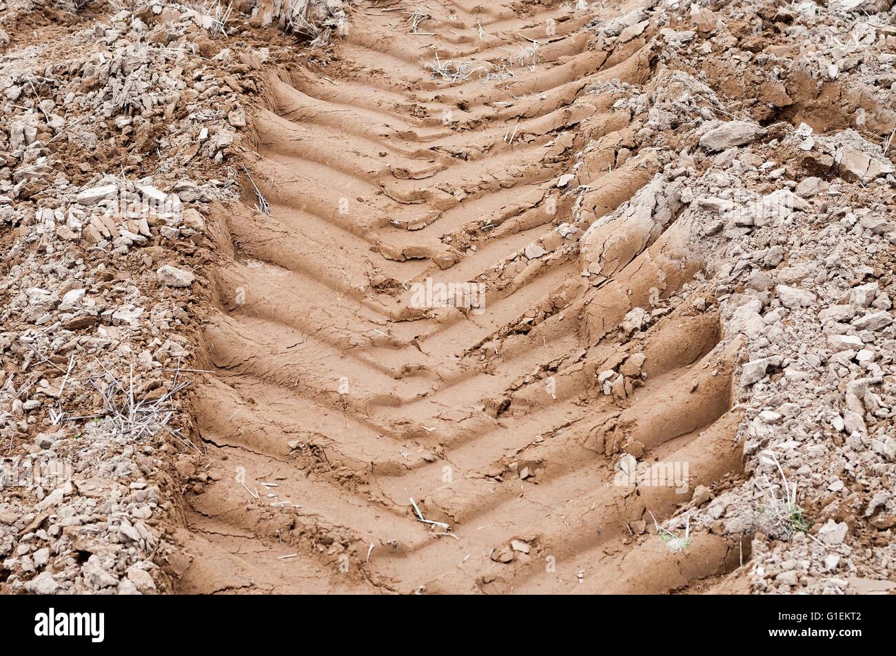 Tractor wheel tracks on the ground as background Stock Photo - Alamy
