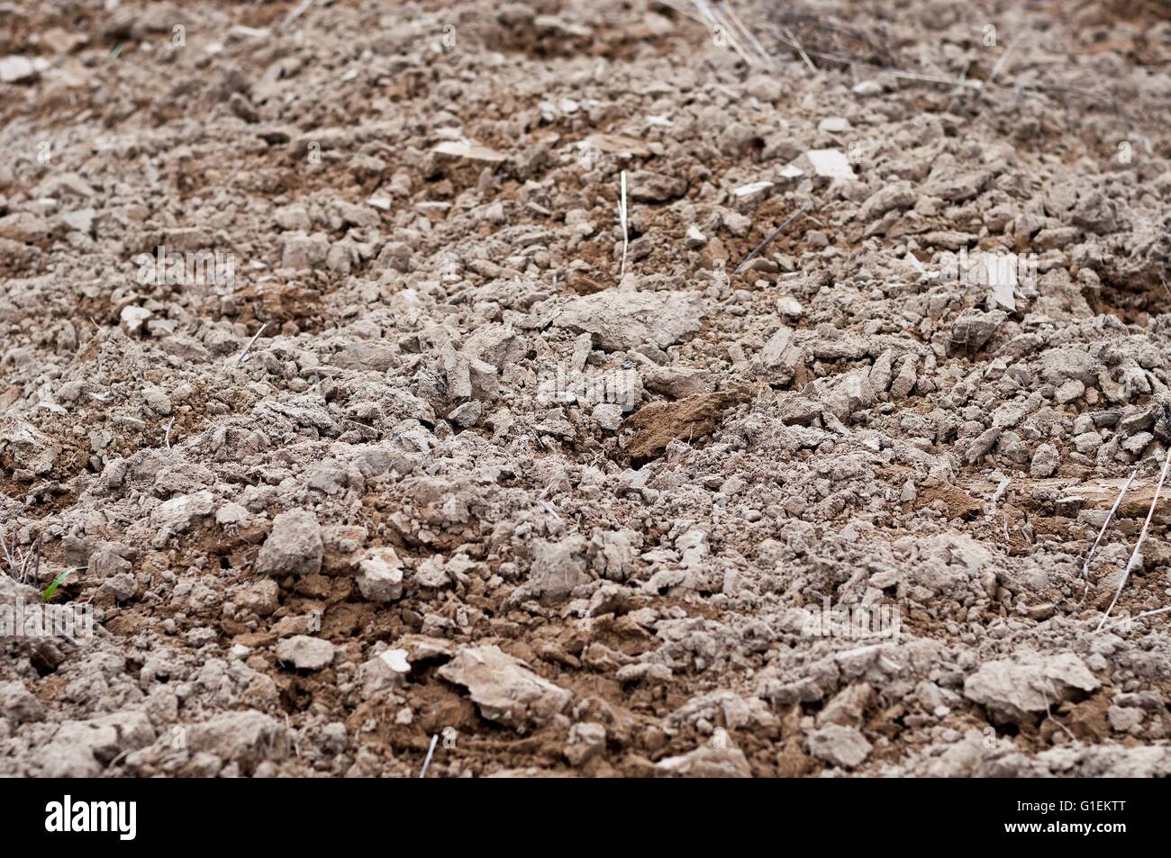 Clay soil humus hi-res stock photography and images - Alamy