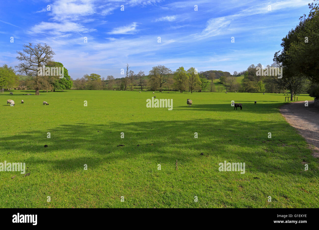 Ilam Park National Trust Peak District National Park Staffordshire ...