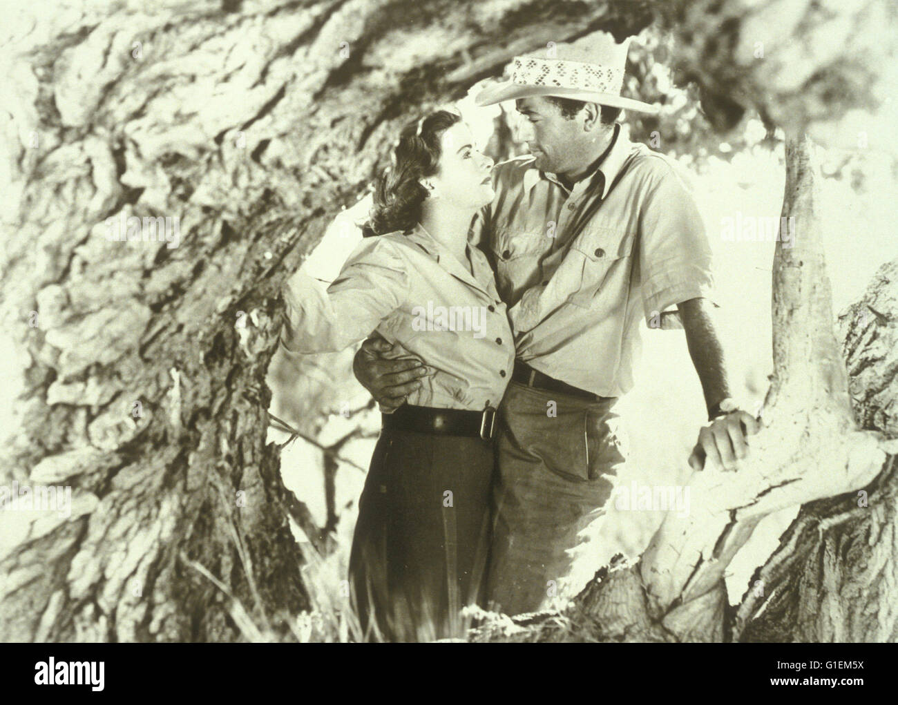 Aff‰re Macomber / Joan Bennett / Gregory Peck Stock Photo - Alamy
