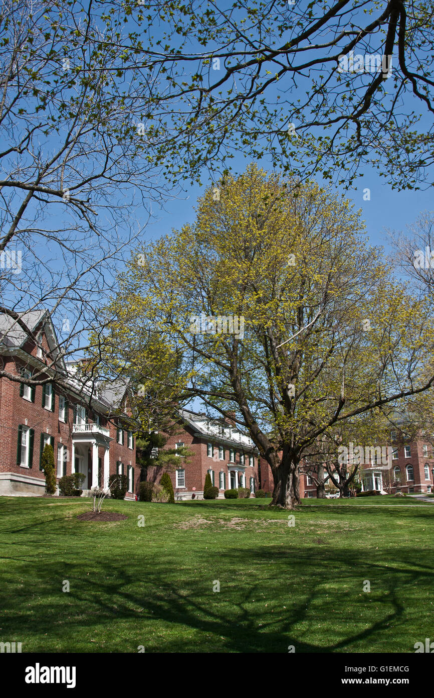Colby sawyer college hi-res stock photography and images - Alamy