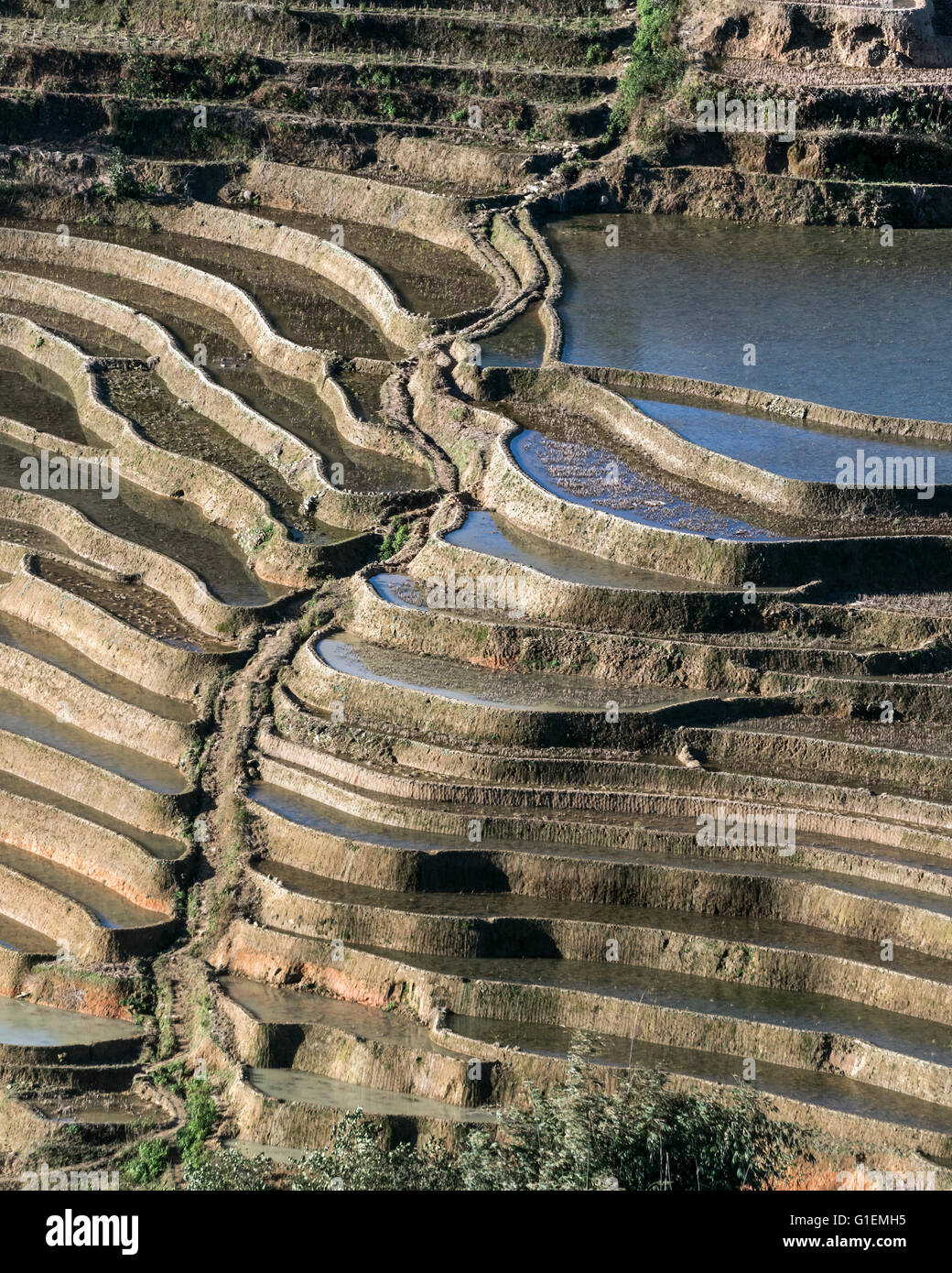 Cascading Rice Paddies High Resolution Stock Photography and Images - Alamy