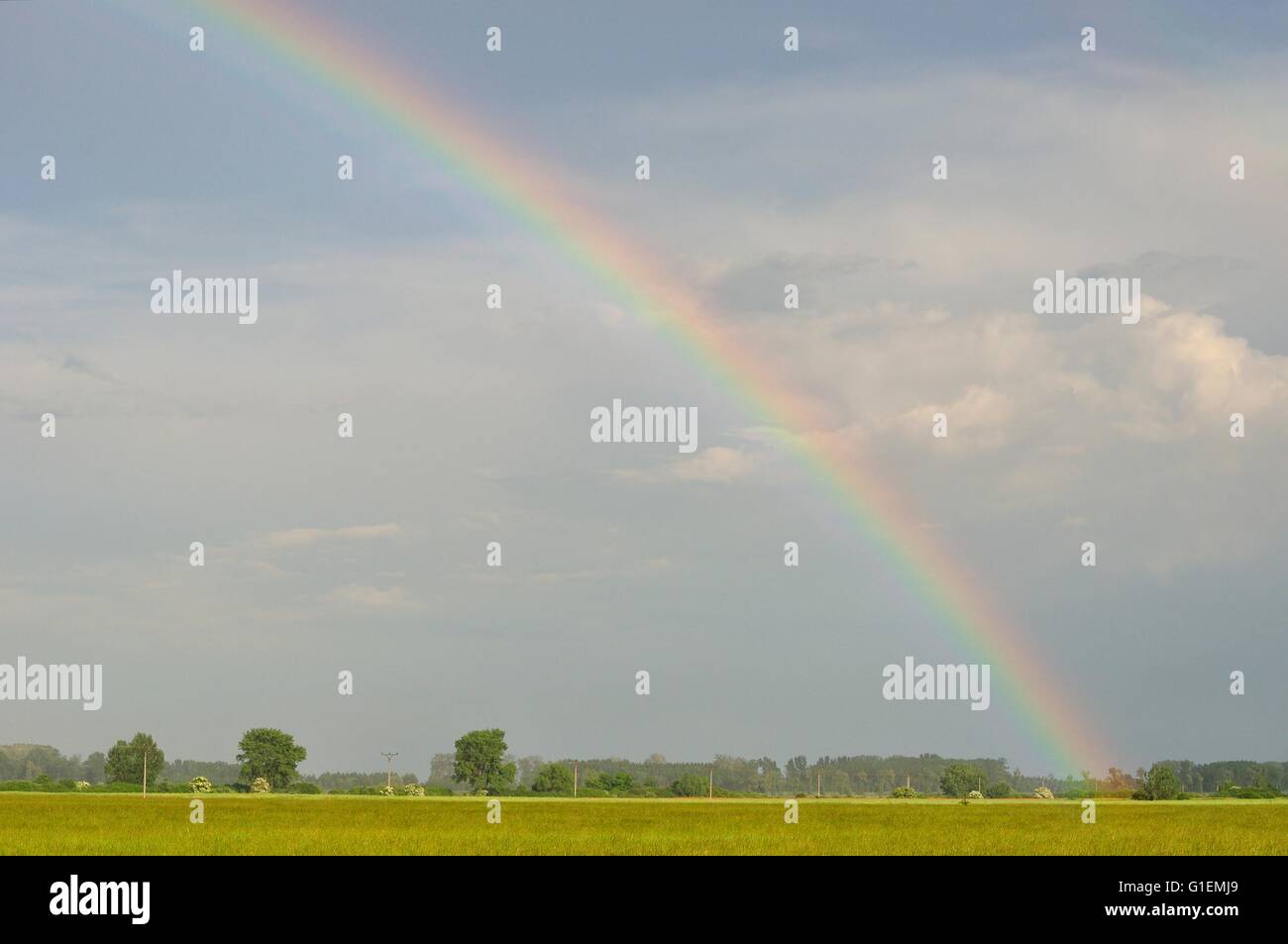 Rainbow with cloudy sky after rain over field Stock Photo - Alamy