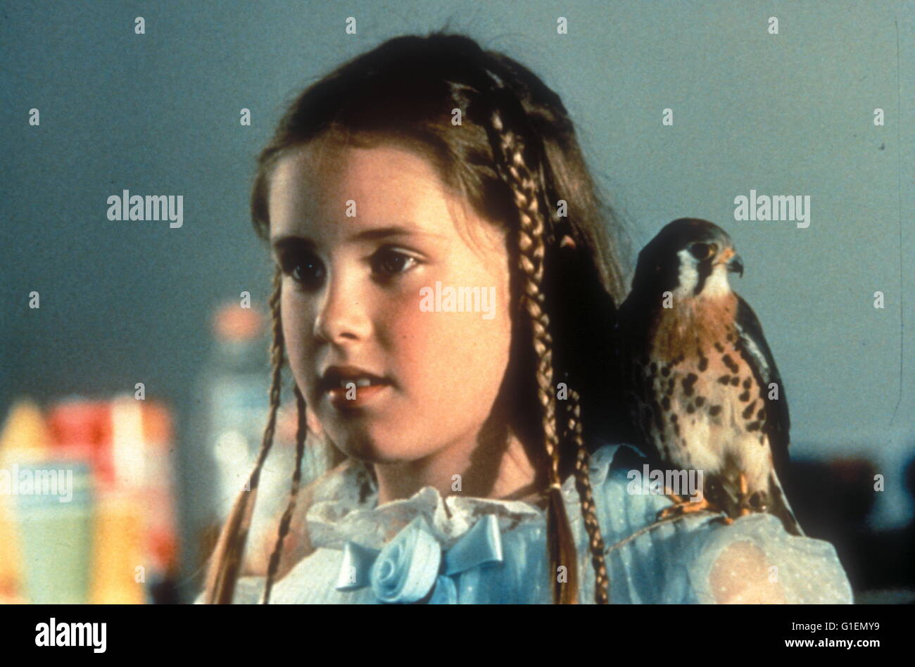 Paige az hi-res stock photography and images - Alamy