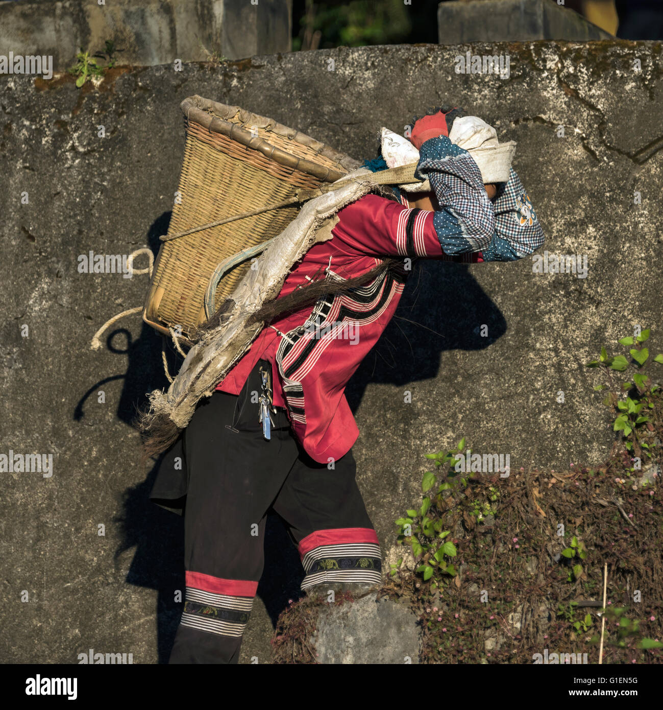 Construction labourer carrying hi-res stock photography and images - Alamy