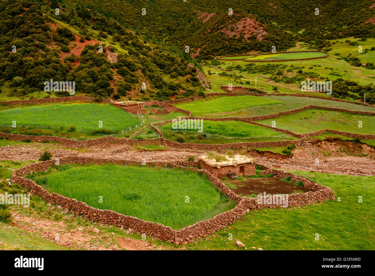 Tibet, China - The view of traditional Tibetan farmland in the middle ...