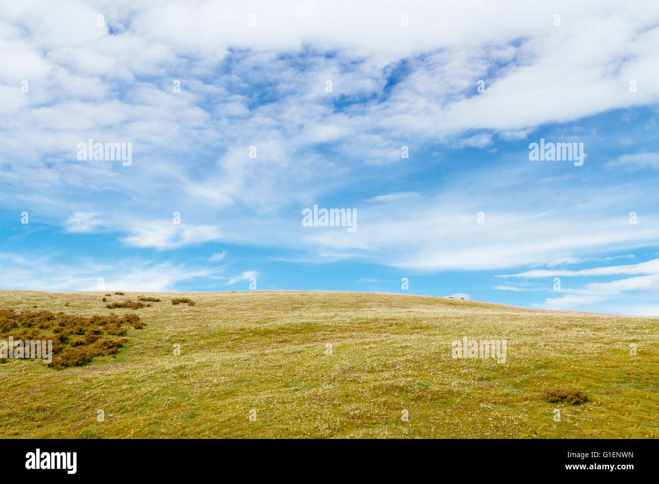 Beautiful grassland hi-res stock photography and images - Alamy
