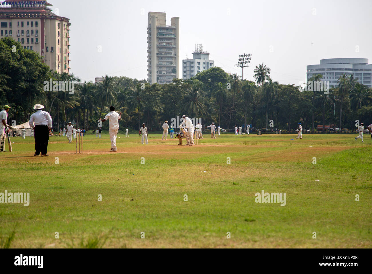 People playing cricket hi-res stock photography and images - Alamy