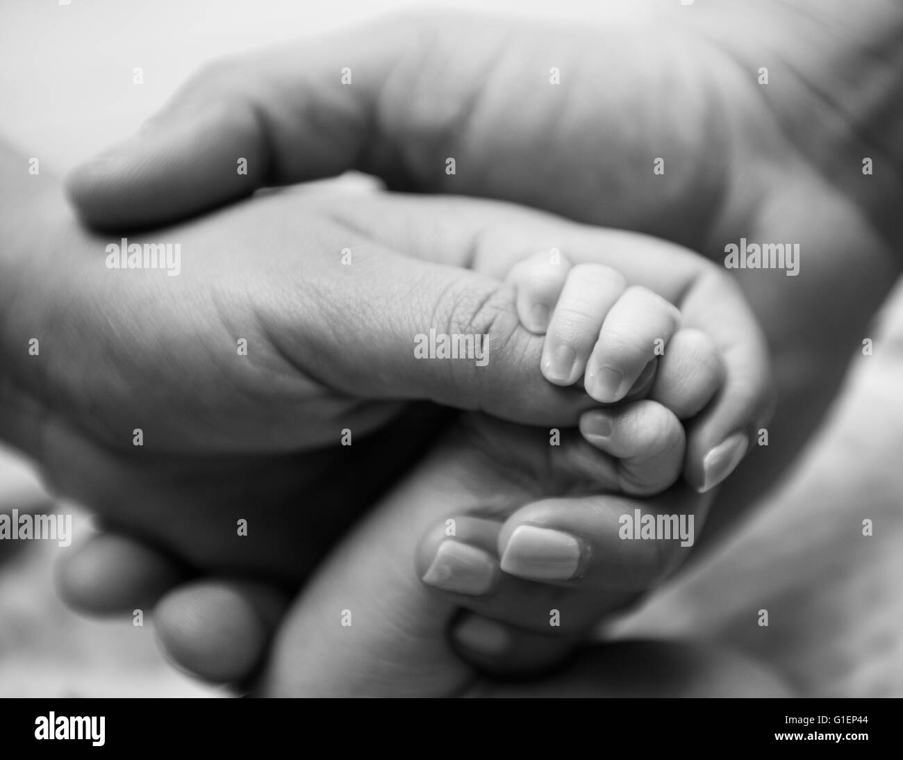 Mother, Father and Baby's Hands Stock Photo - Alamy
