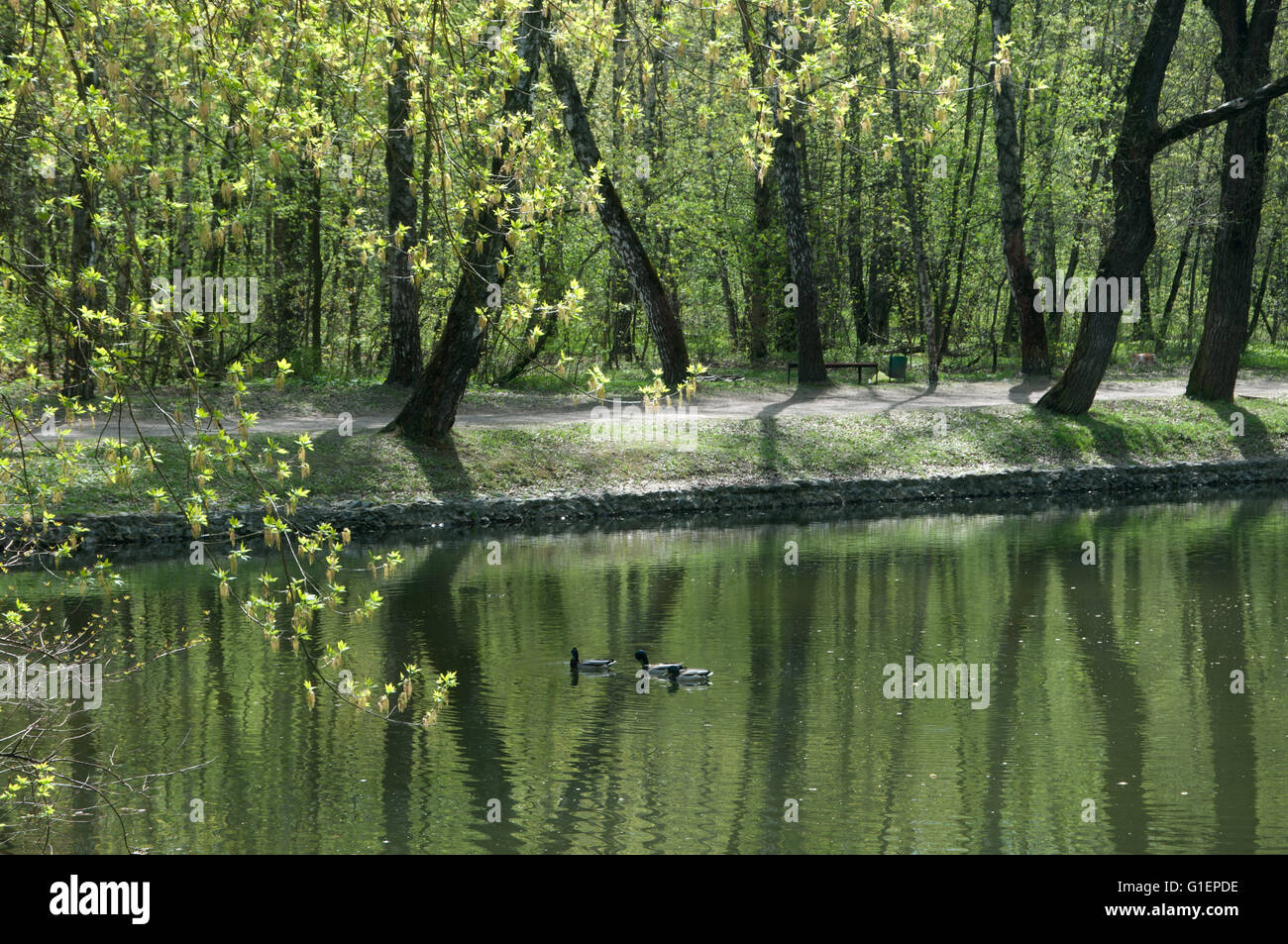Landscape with a pond in Sokolniki park, Moscow Stock Photo - Alamy