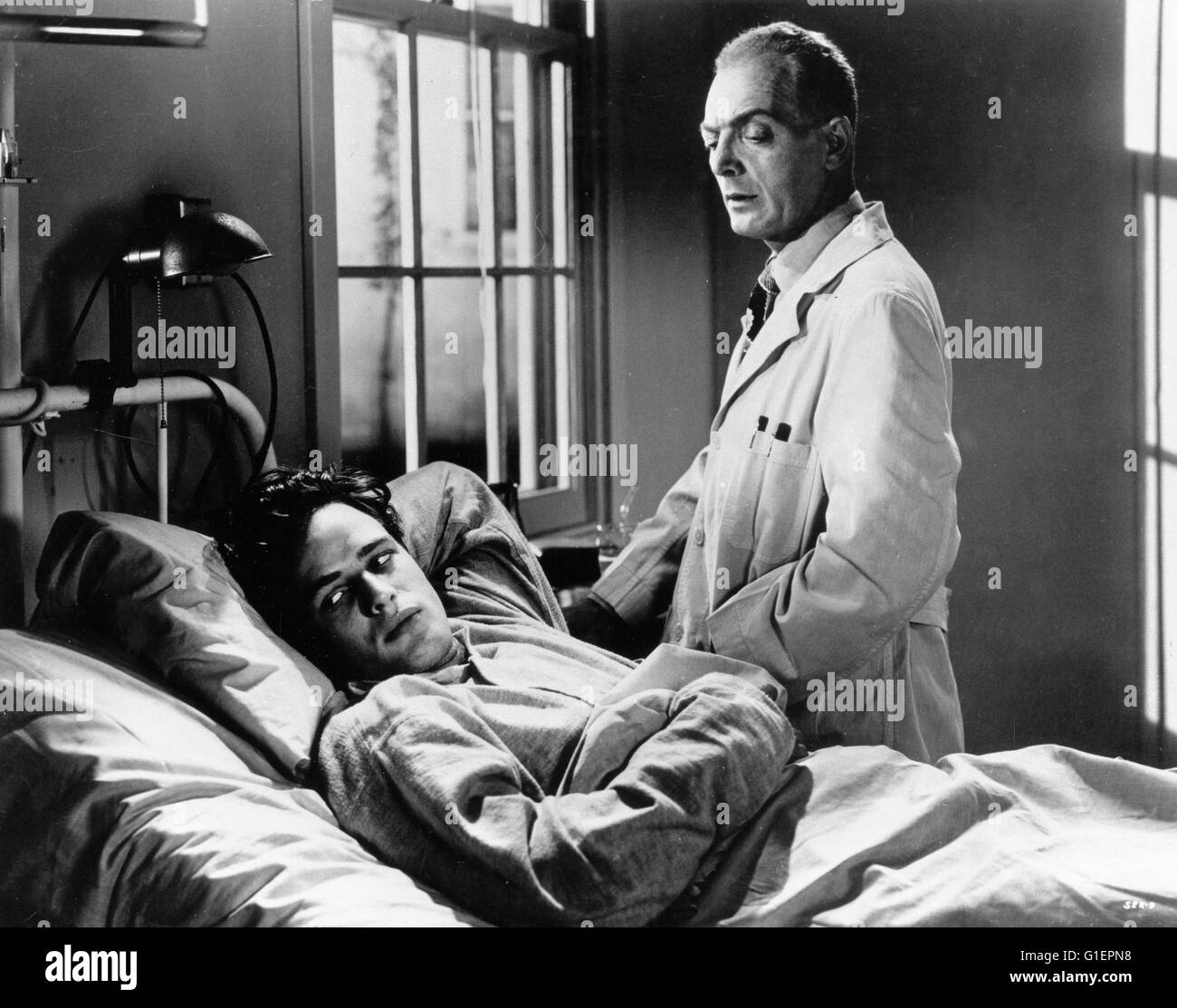 The men 1950 marlon brando hi-res stock photography and images - Alamy