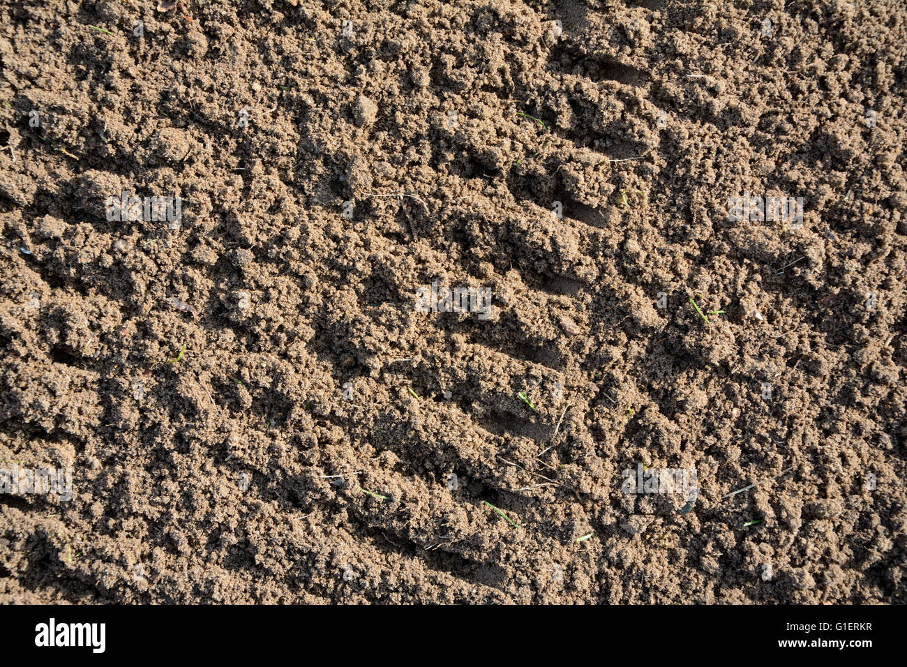 Loosened soil texture - background Stock Photo - Alamy