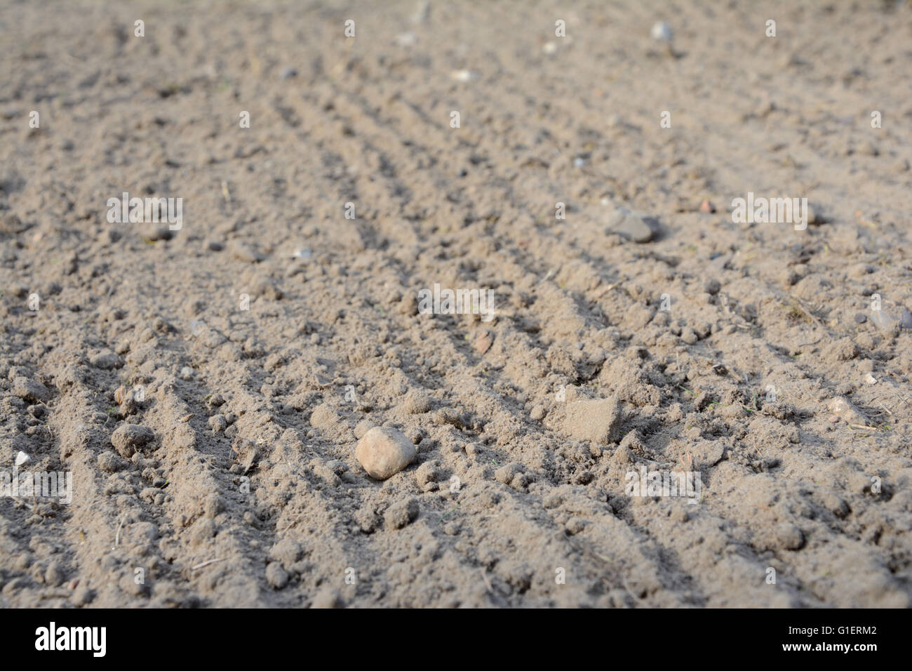 Photo of loosened soil with blurred foreground and background. Shallow ...