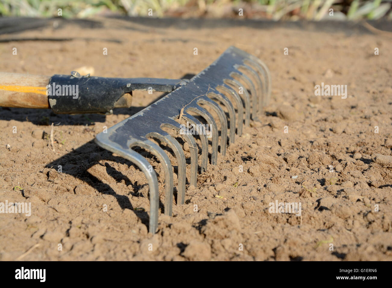 Soil rake hi-res stock photography and images - Alamy