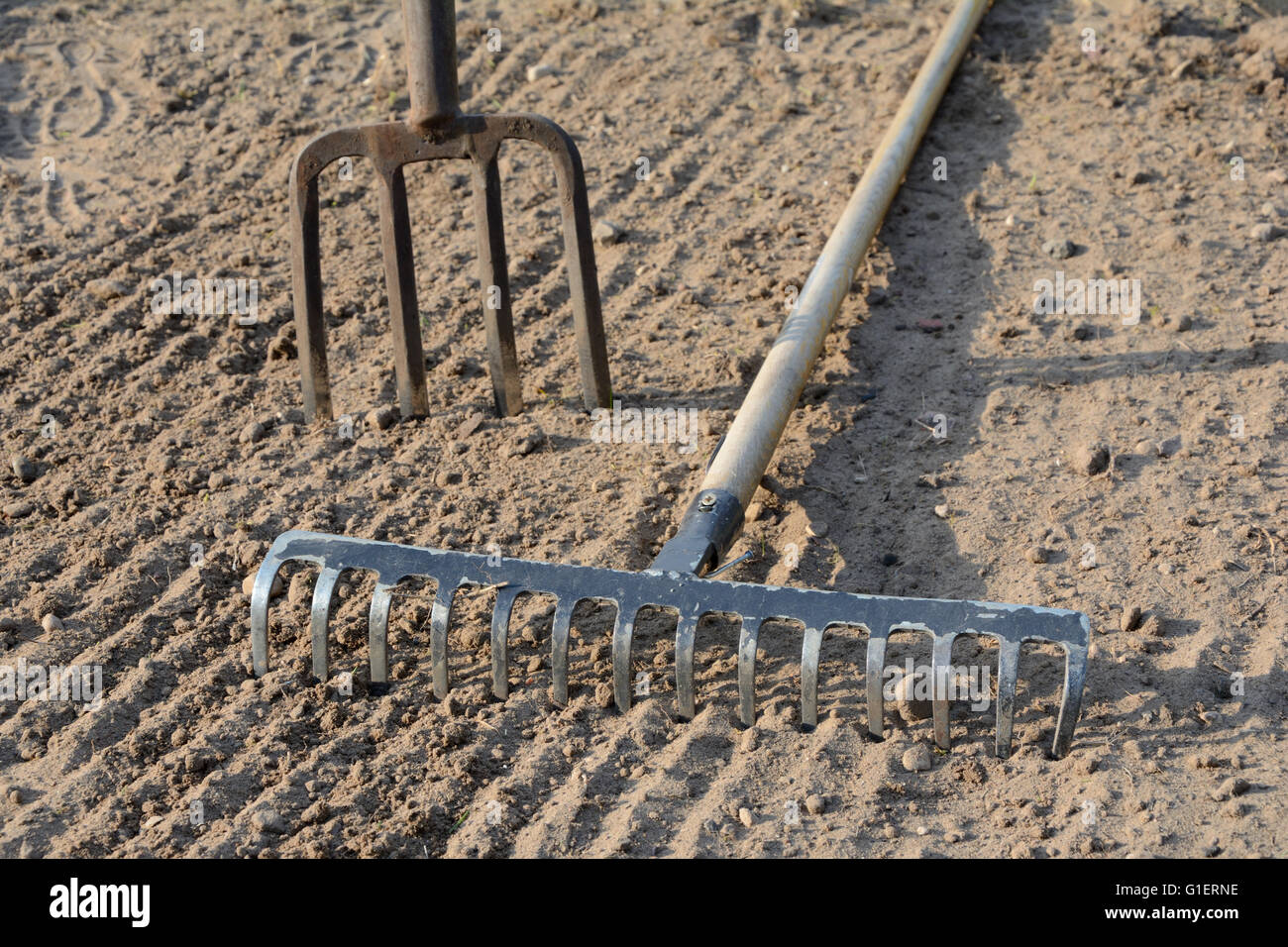 Rake and pitchfork on loosened soil closeup Stock Photo - Alamy