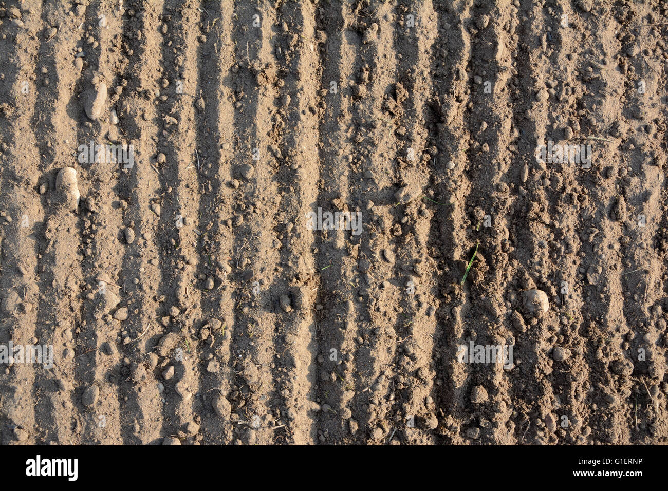 Soil texture background hi-res stock photography and images - Alamy