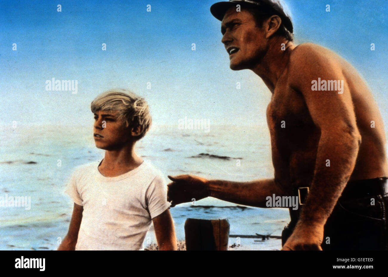 Flipper, Fernsehserie, USA 1963, Regie: James B. Clark, Darsteller ...